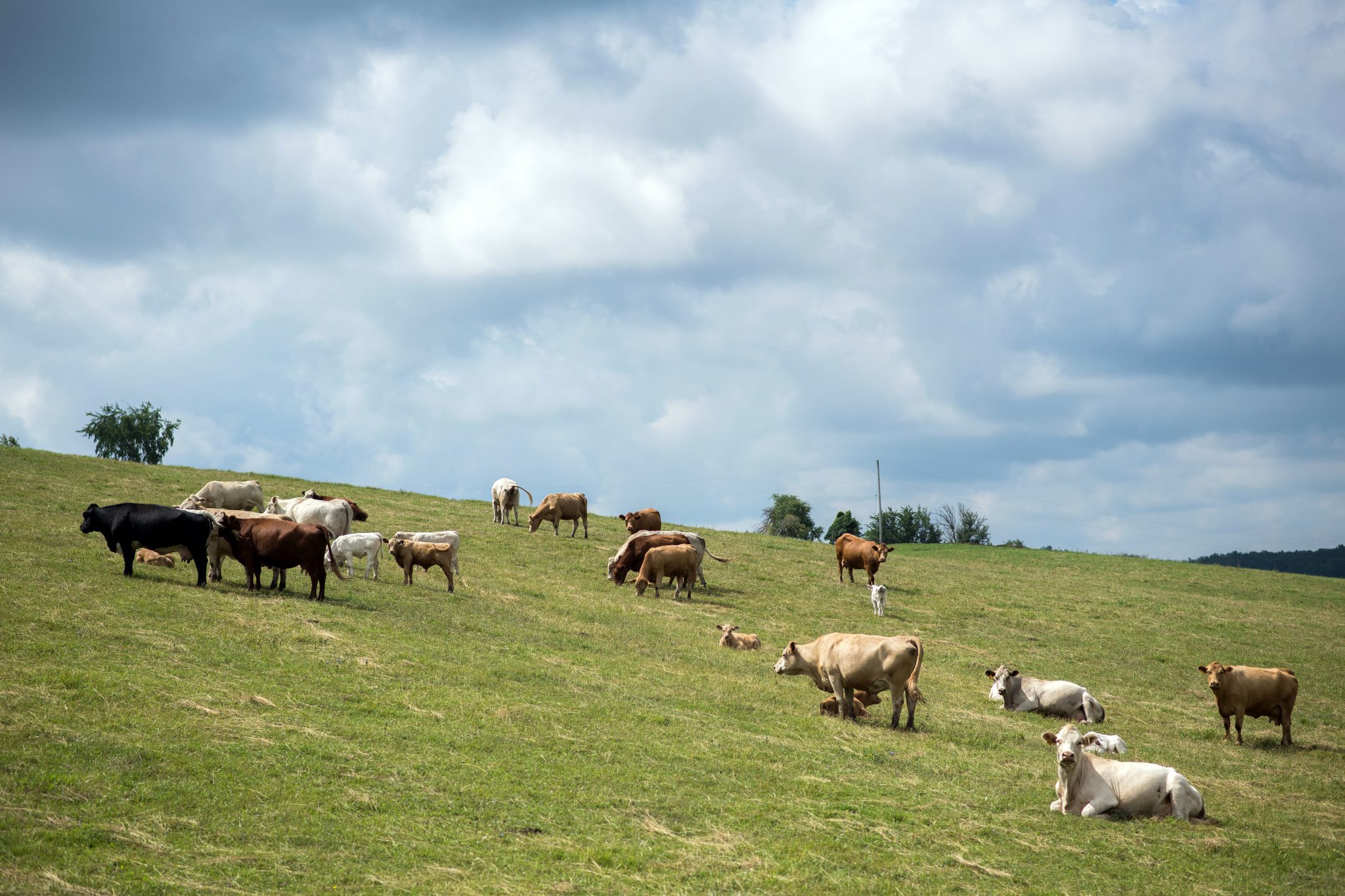 Explore Dufferin County, Ontario | Dufferin County