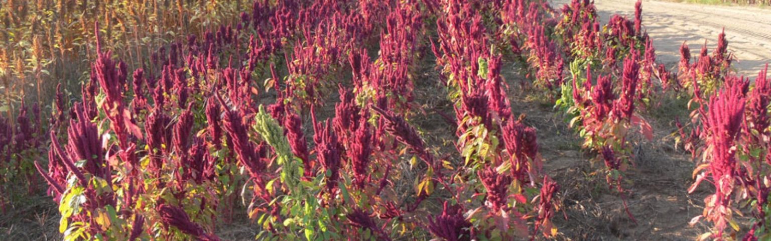 Explore Dufferin County, Ontario | Dufferin County